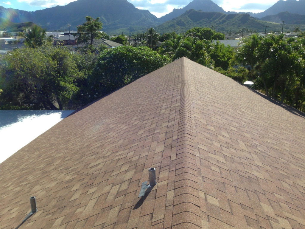 David's Custom Roofing & Painting Inc - Gallery